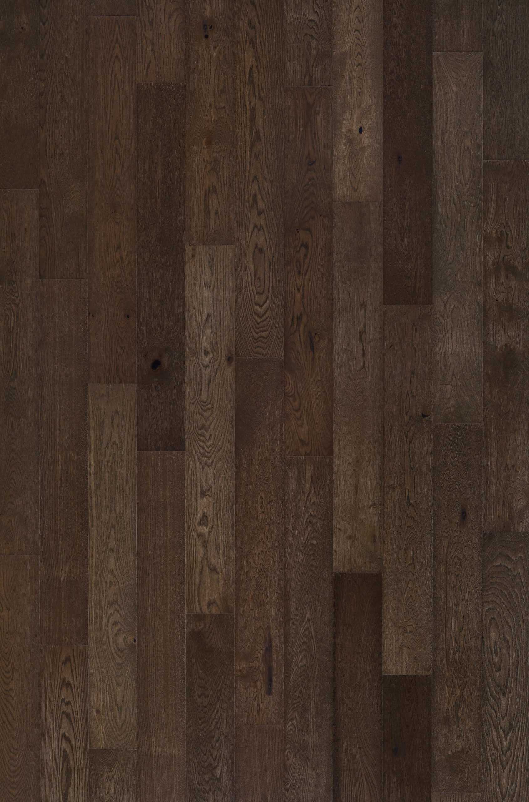 Zion | Surface Edge | Performance Flooring Solutions